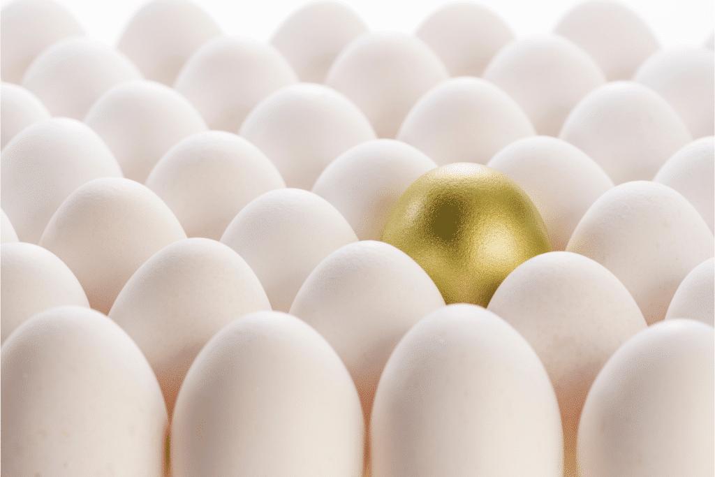 Business management services - Target Integration