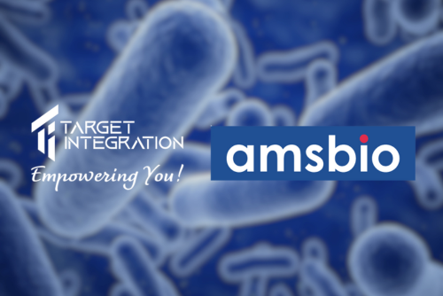 ERP - Target Integration